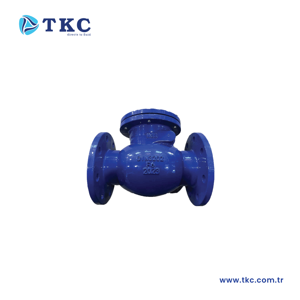 Swing Check Valve