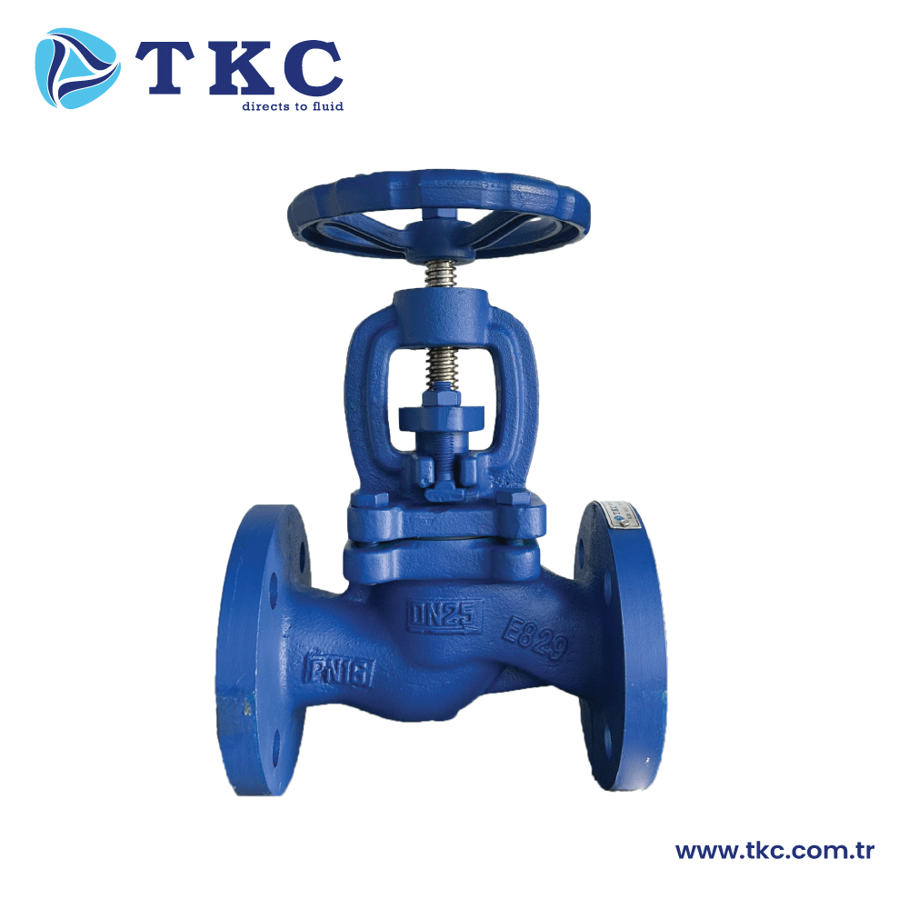 TKC-G16 Globe Valve PN16
